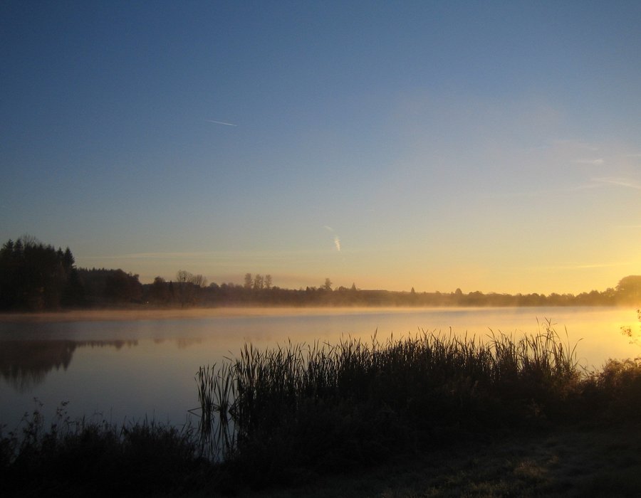 Fotos vom Stausee Losheim
