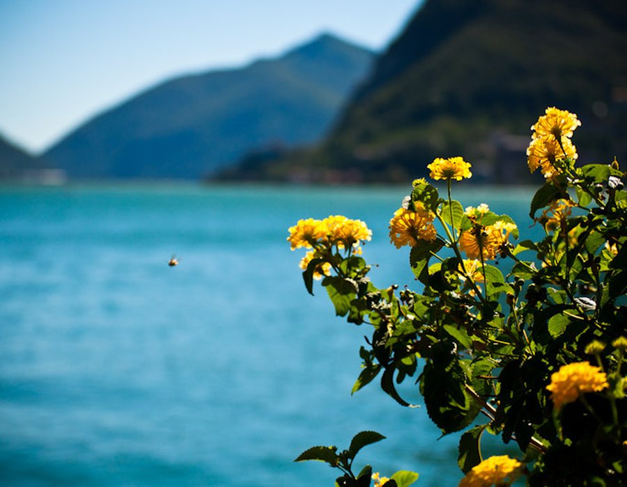 Fotos vom Luganersee | Seen.de