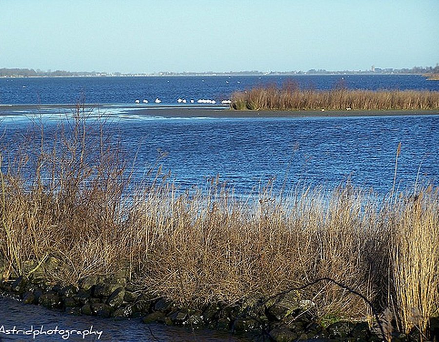 Fotos vom Veluwemeer