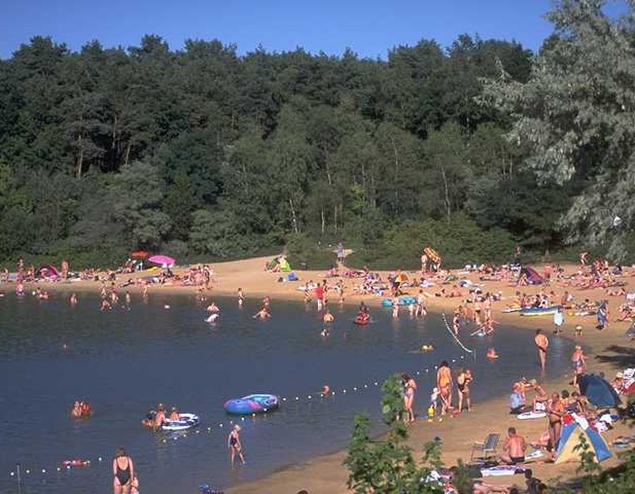 Fotos vom Feldmarksee | Seen.de