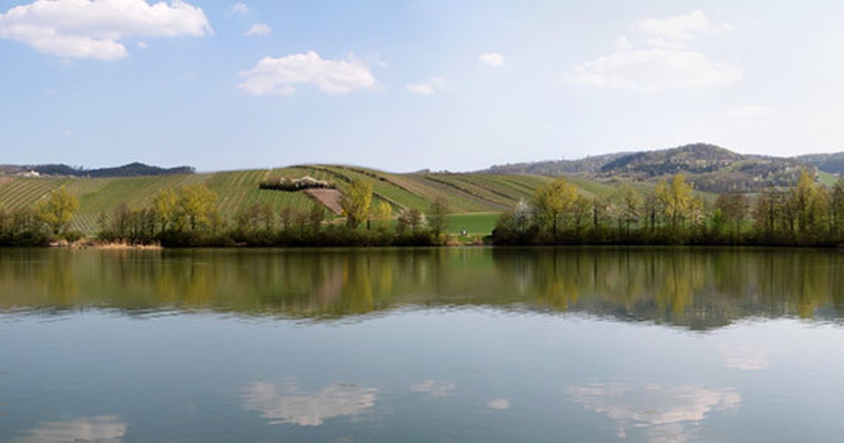 Aktivitäten am Breitenauer See | Seen.de