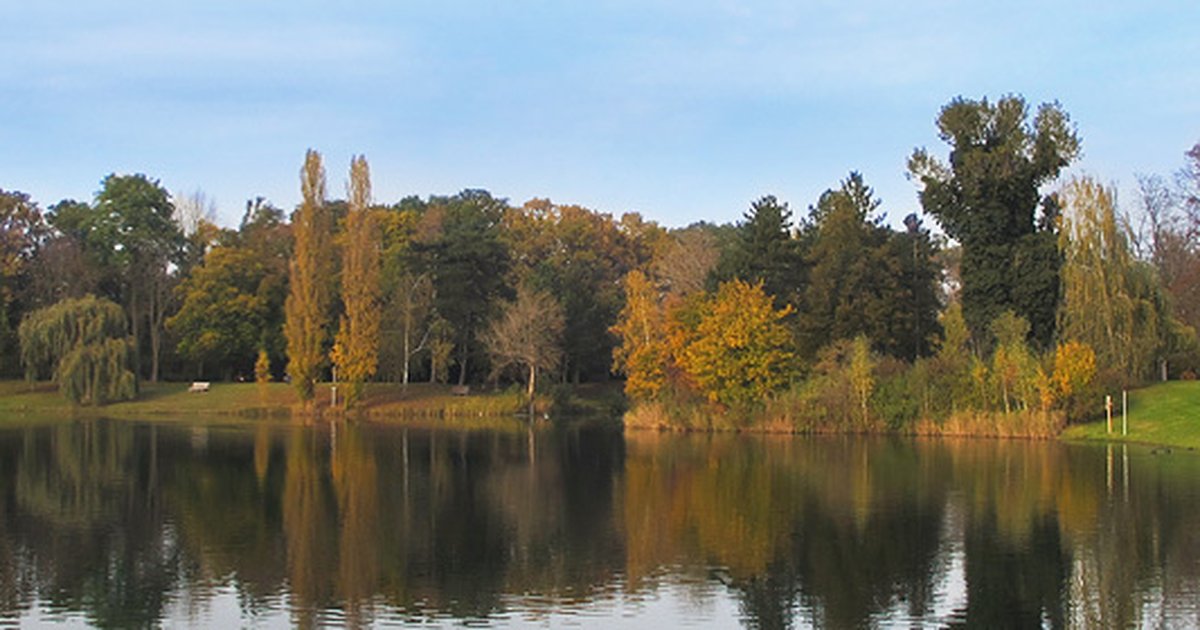 Strandbad Frankenthal | Strandbadweiher Frankenthal