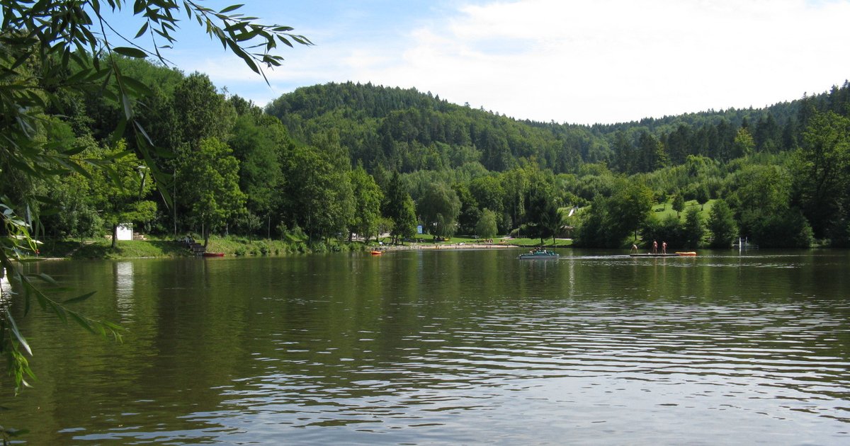 Waldsee Fornsbach - Infos zum See