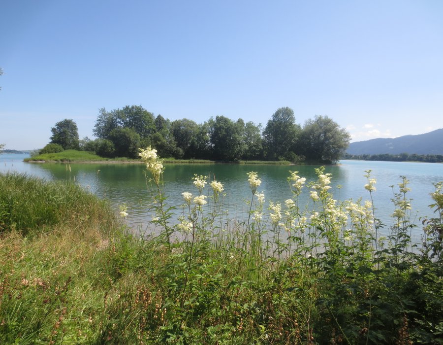 Fotos vom Forggensee