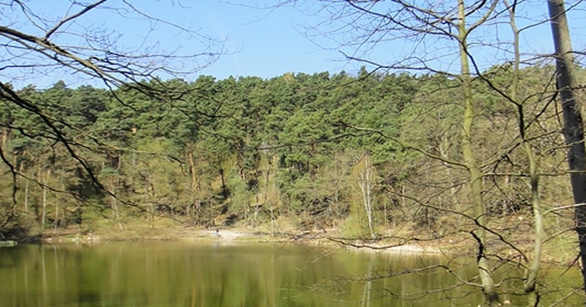 Fotos vom Teufelssee