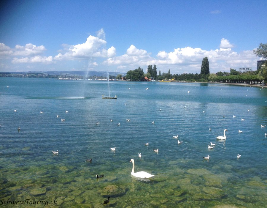 Fotos vom Zugersee