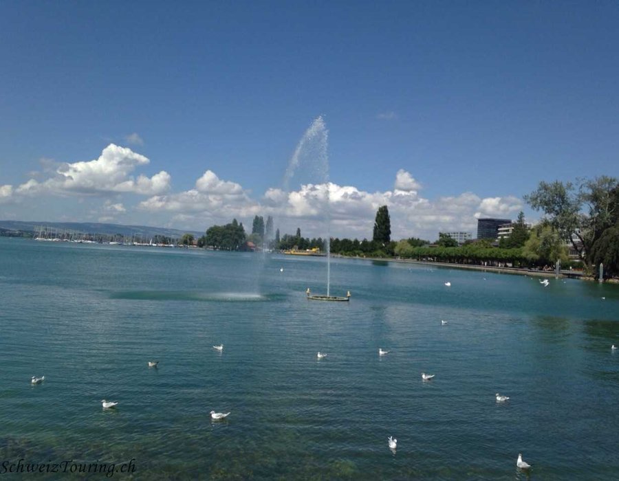 Fotos vom Zugersee