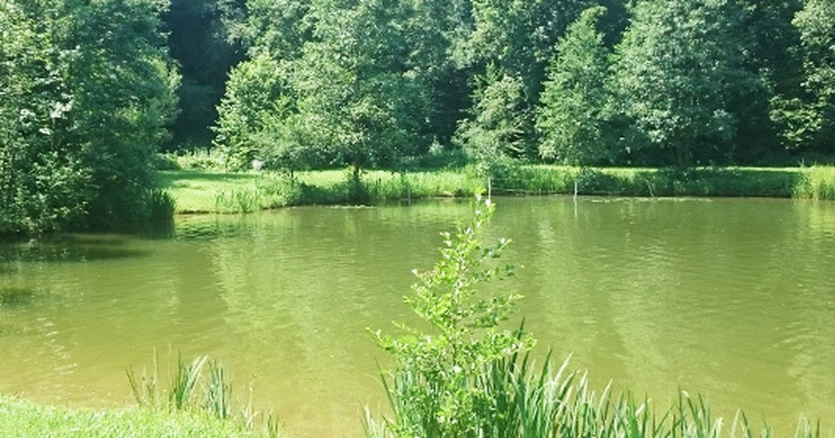 Der Reischacher Badesee in Reischach - Urlaub und Freizeit