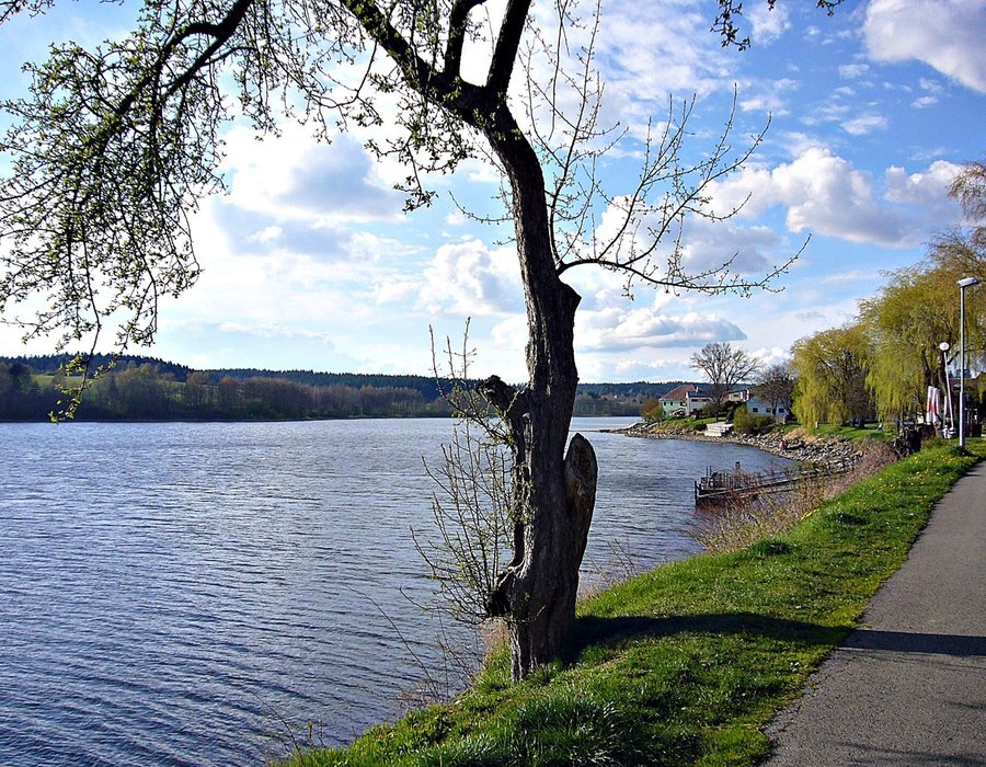 Fotos vom Stausee Lipno | Seen.de