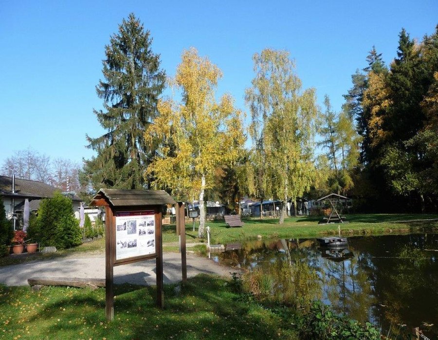 Fotos vom Waldsee Argenthal | Seen.de