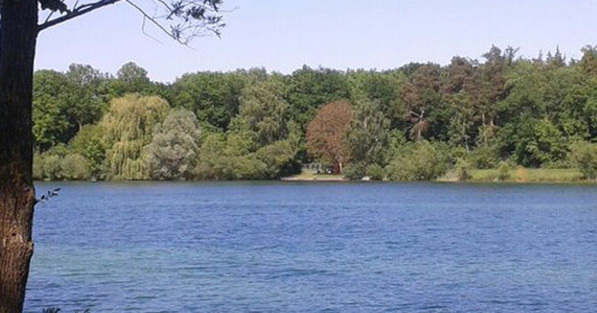 Fakten vom Erbacher Baggersee | Seen.de