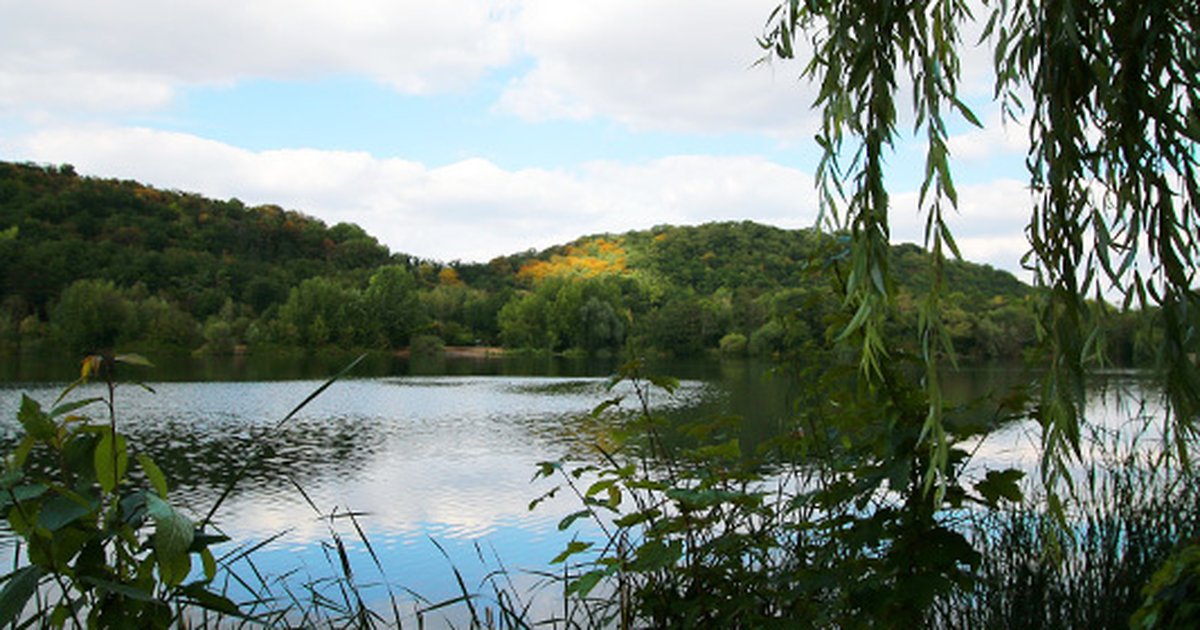 Der Vienenburger See in Vienenburg - Urlaub und Freizeit