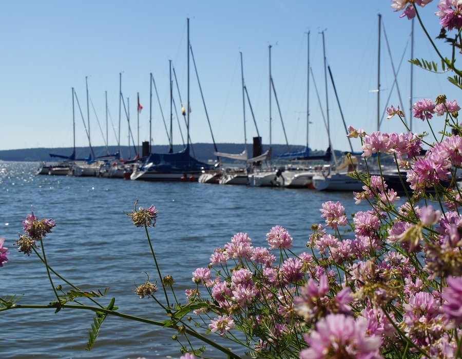 Fotos vom Großer Brombachsee | Seen.de