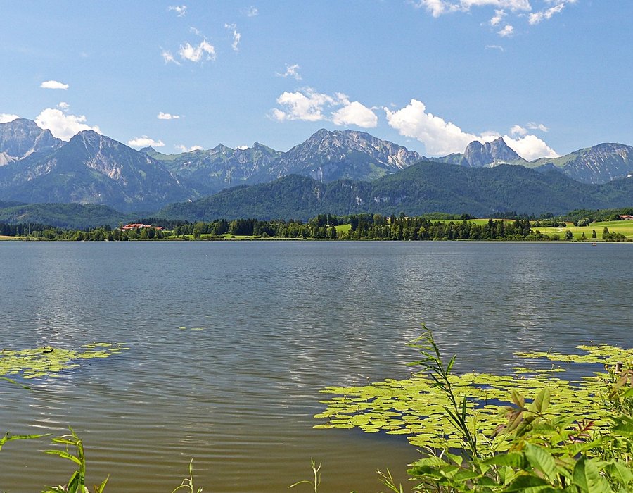 Fotos vom Hopfensee | Seen.de