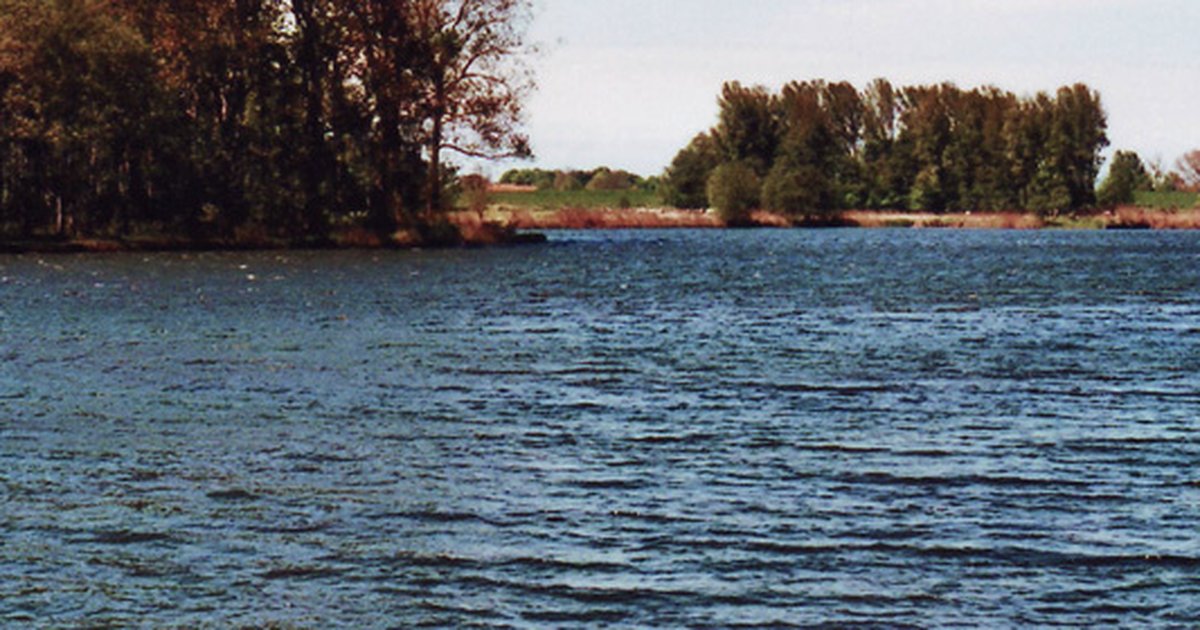 Infos zum Erlensee in Hessen