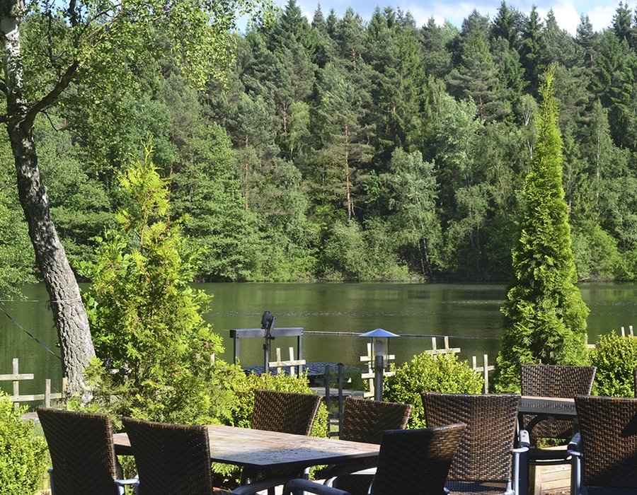 Fotos vom Waldsee Argenthal | Seen.de