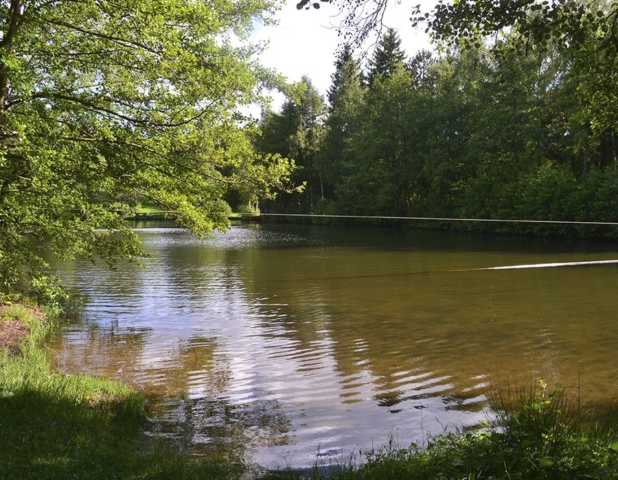 Fotos vom Waldsee Argenthal | Seen.de