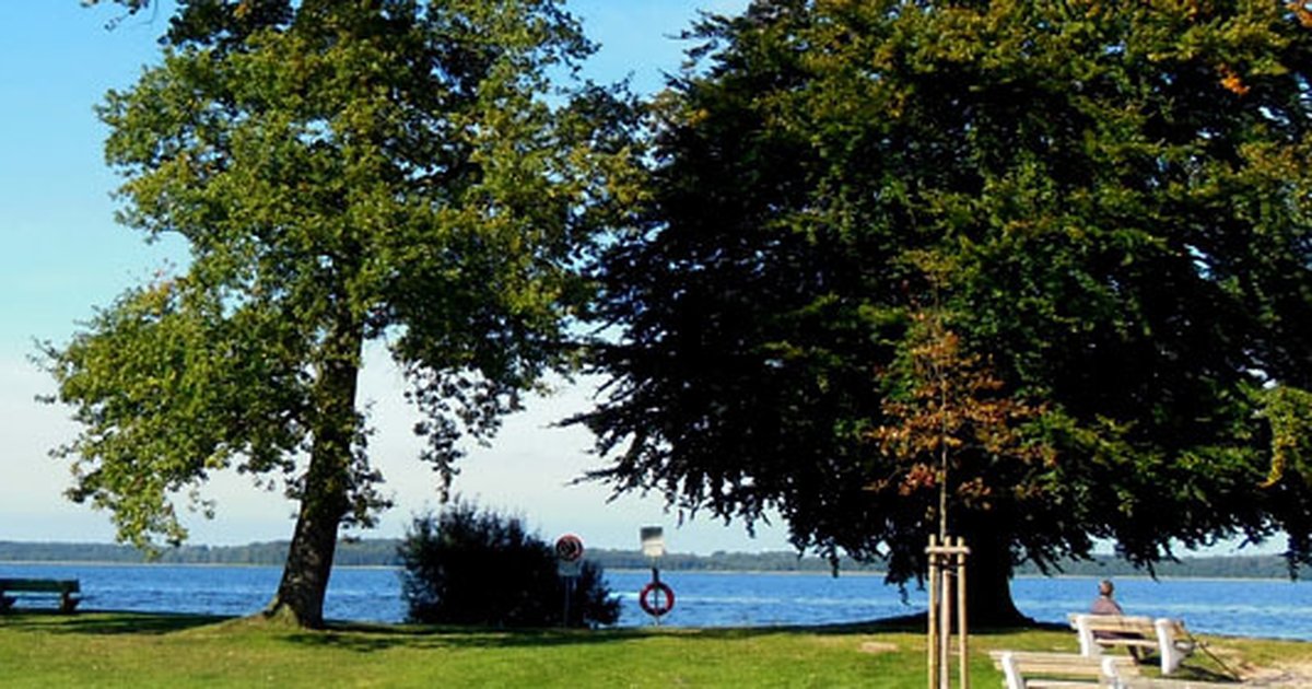 Selenter See