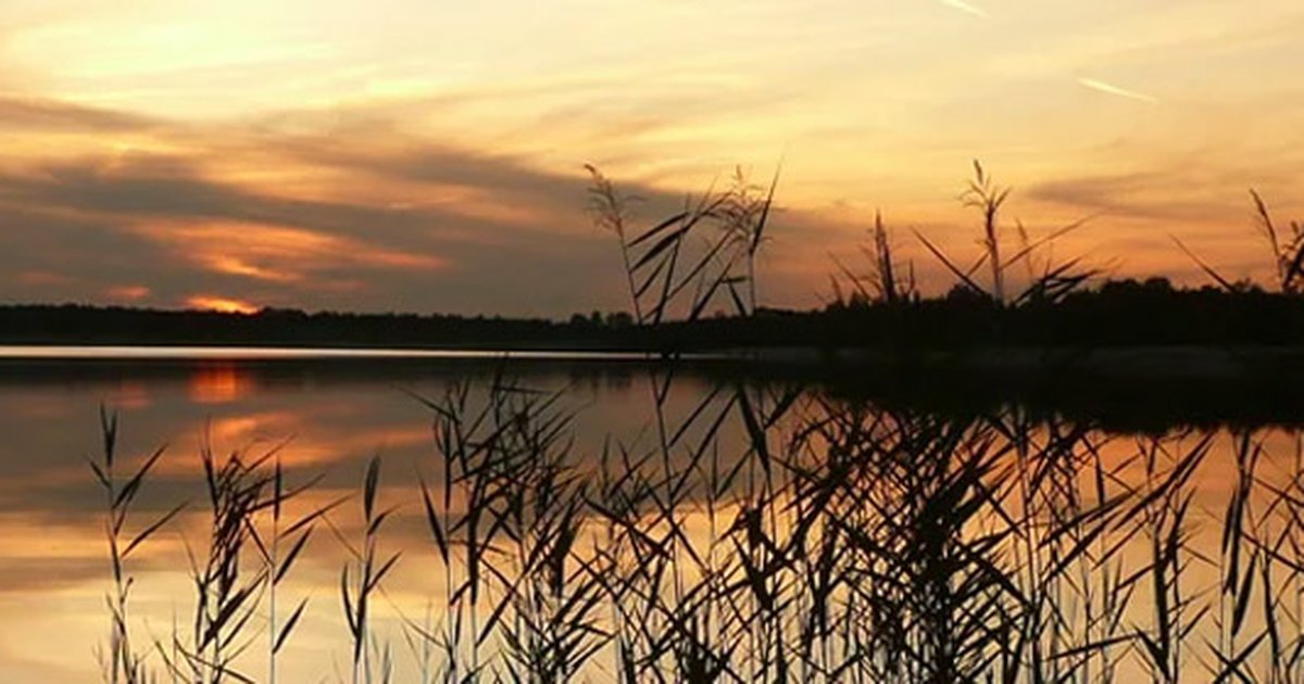 Infos zum Lichtenauer See