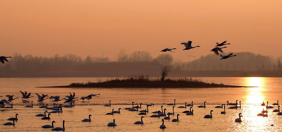 Freizeit- und Informationsportal | Seen.de